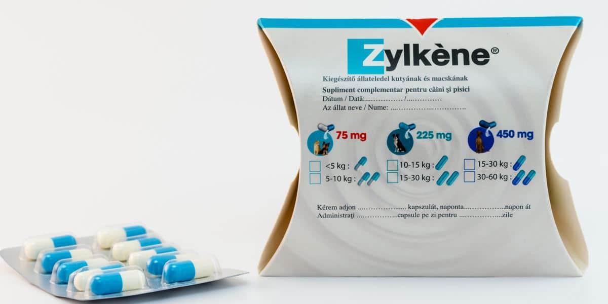 Zylkène Pour Chats : Présentation, Posologie Et Effets Secondaires ...